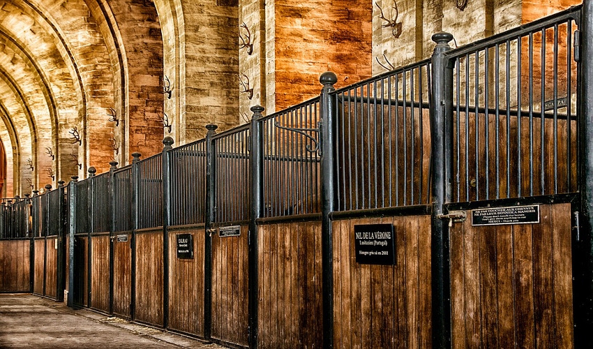 Installing Rubber Stall Mats | Ludwig's Feed Store