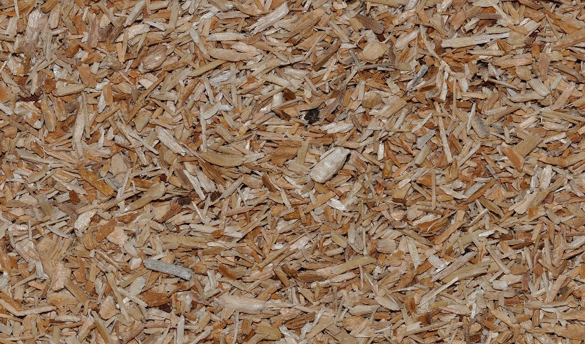 Understanding Bedding Types And Their Benefits Roughrider Feeds understanding-bedding-types-and-their-benefits-roughrider-feeds