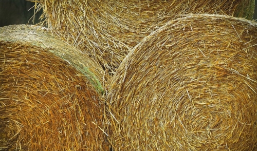 Storing hay effectively | HC Summers Feed & Supply - Jefferson, MD