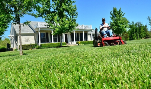 Spring Lawn Care Tips Louisiana Nursery
