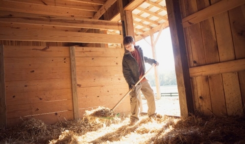 Organizing and Cleaning the Barn | Douglas Tack & Apparel | Granite Bay, CA