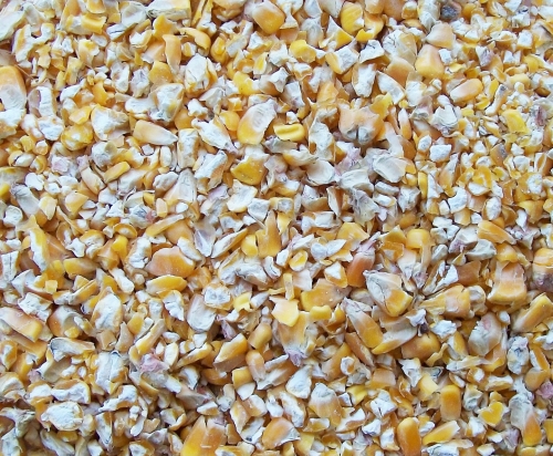 Cracked Corn | Liberty Home, Garden Inc. - Liberty, NY
