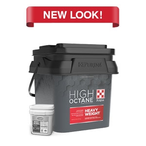 Purina® High Octane® Heavy Weight® Topdress Show Supplement | Belton ...