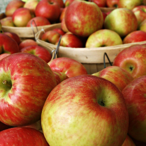 Michigan Lawn and Garden Supplies, Unique Michigan Gifts, Local ...