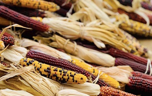 Michigan Lawn & Garden Supplies, Unique Gifts, Local Craft Beers ...