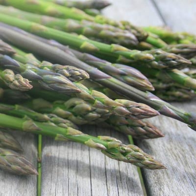 Locally Grown Michigan Asparagus | Sawyer Garden Center | Sawyer, MI
