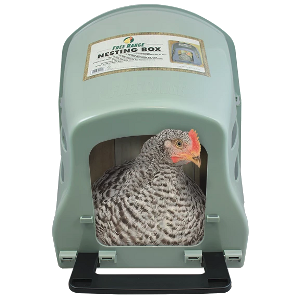 Plastic Nesting Box | Family Farm & Garden