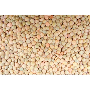 Austrian Winter Peas 50 lb. Bag | Family Farm & Garden