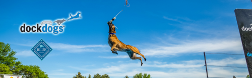 Shop Local or Shop Online at Clyde's Feed & Animal Center | Pet Food ...