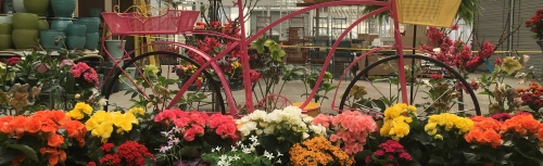 Walnut Ridge Landscaping, Walnut Ridge Indiana, Jeffersonville ...