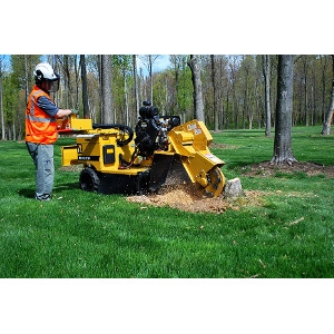 Rayco RG27 Stump Grinder | Surfside Equipment Rental & Sales ...
