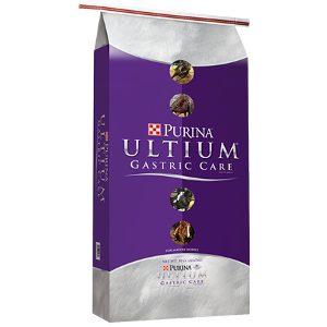 Purina® Ultium® Gastric Care Horse Feed | Champion Feed & Pet Supply ...