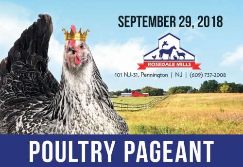 Birdseed, Rosedale Mills, Pet Services, Grooming, Delivery, Pet ...