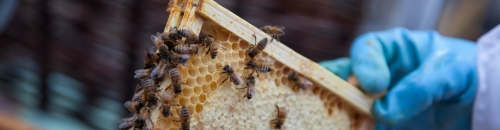 Talmage Farm Agway, Riverhead store, home brewing equipment LI ...