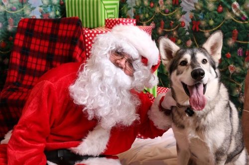Your Healthy Pet Destination | All Things Woof Meow, Too Inc.