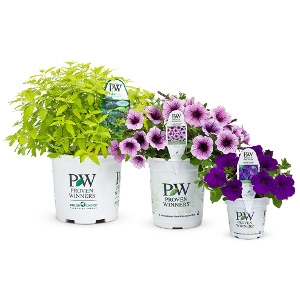 Proven Winner Certified Garden Center | Elm Creek LTD