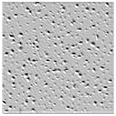 Radar R2110 Acoustical Ceiling Panels | Supply Innovations Co LLC ...