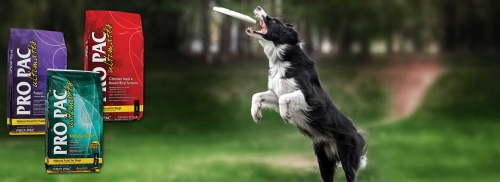 Mars Agway | Your Local, Family-Owned Yard, Garden, Pet & Farm Supply ...